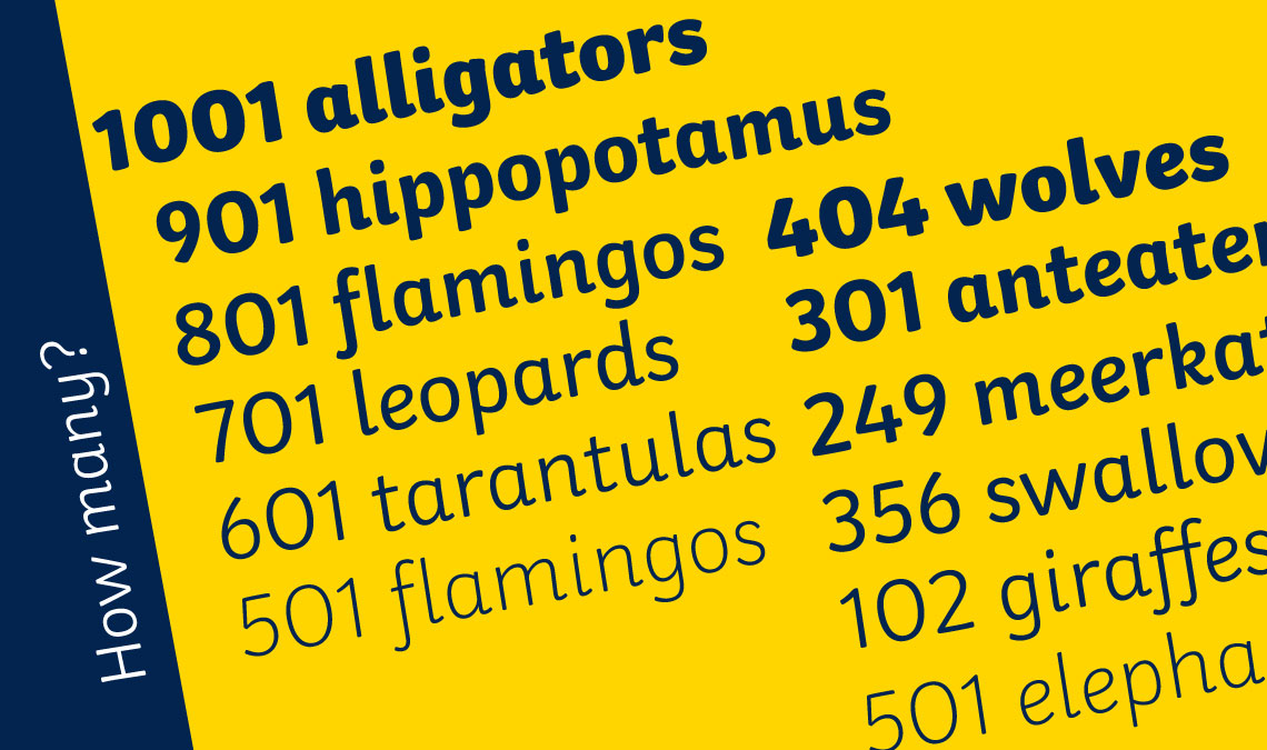 Twinkl Sans | TypeTogether