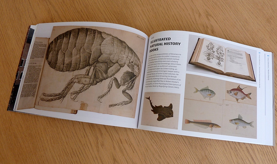 The University Library of Groningen | TypeTogether